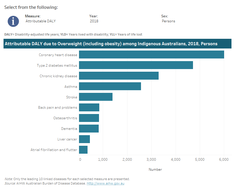 Australian Burden of Disease Study 2018: Interactive data on risk ...