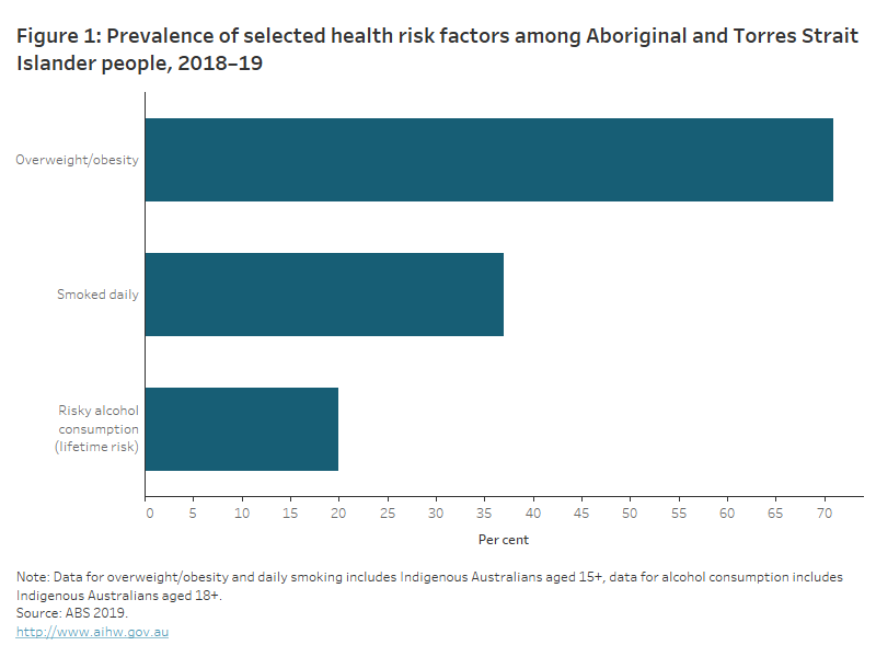 Determinants of health for Indigenous Australians - Australian ...