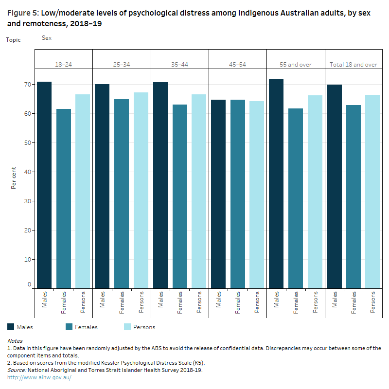 Indigenous Health And Wellbeing Australian Institute Of Health And
