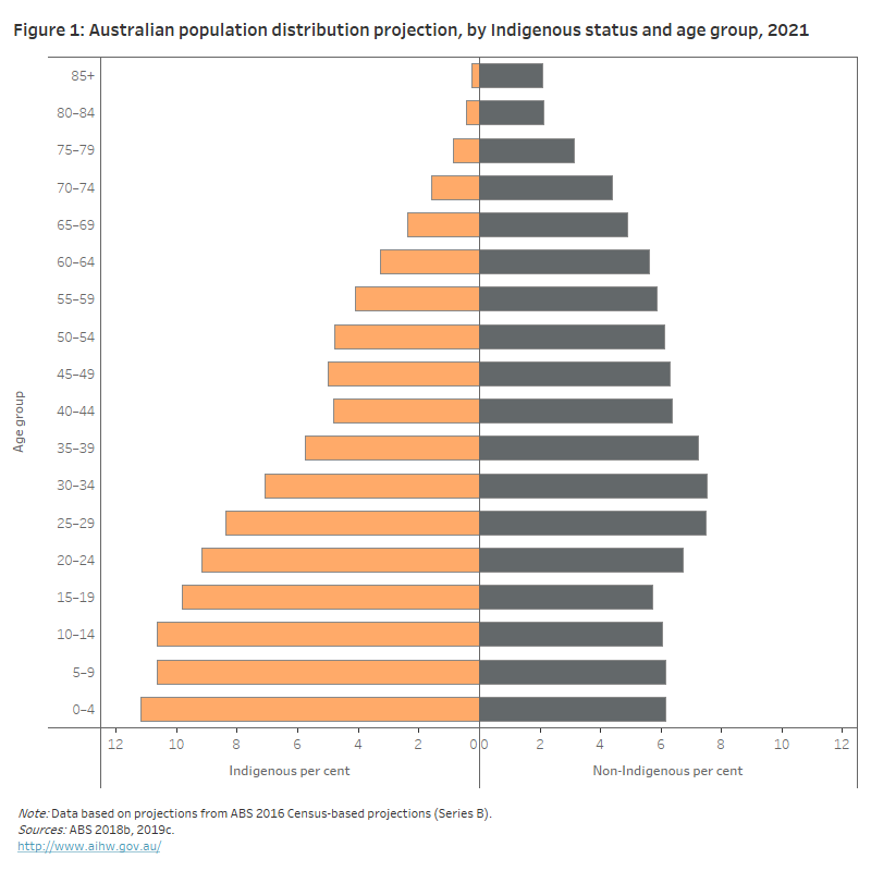 Profile of Indigenous Australians - Australian Institute of Health and ...
