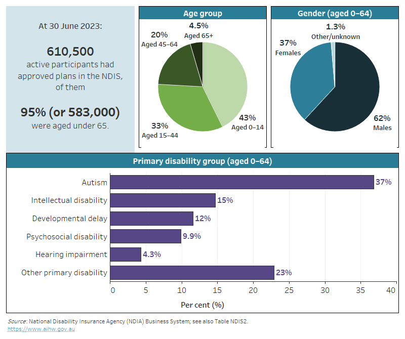 People with disability in Australia, Specialist disability support ...
