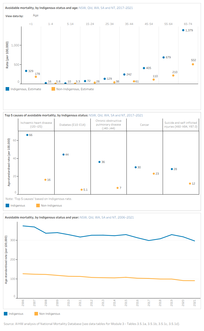 Cultural safety in health care for Indigenous Australians: monitoring ...