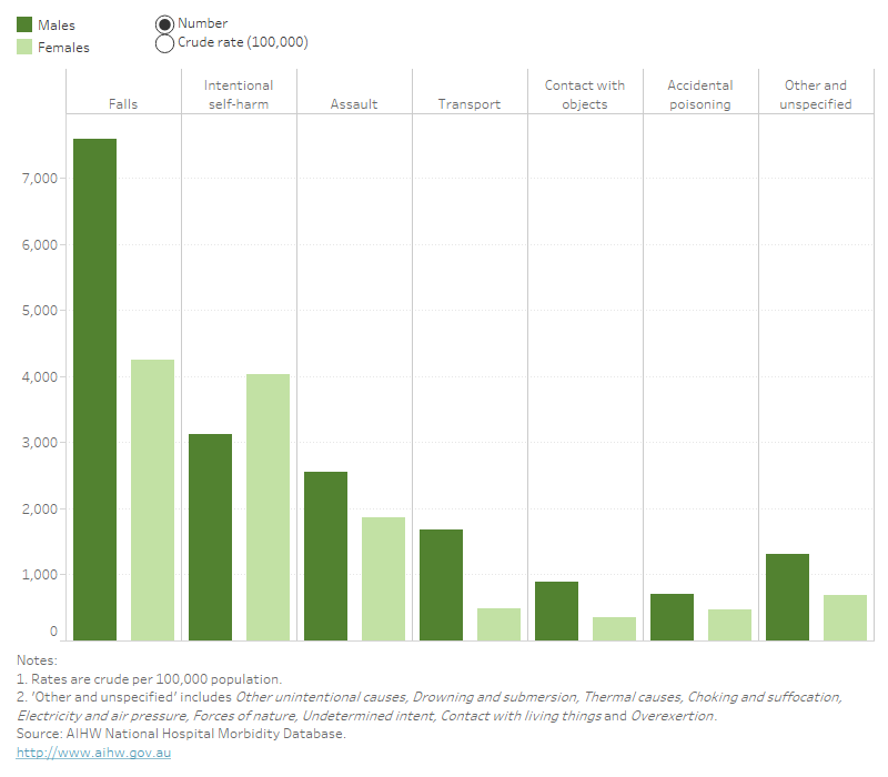 Alcohol-related injury: hospitalisations and deaths, 2019–20, What are ...