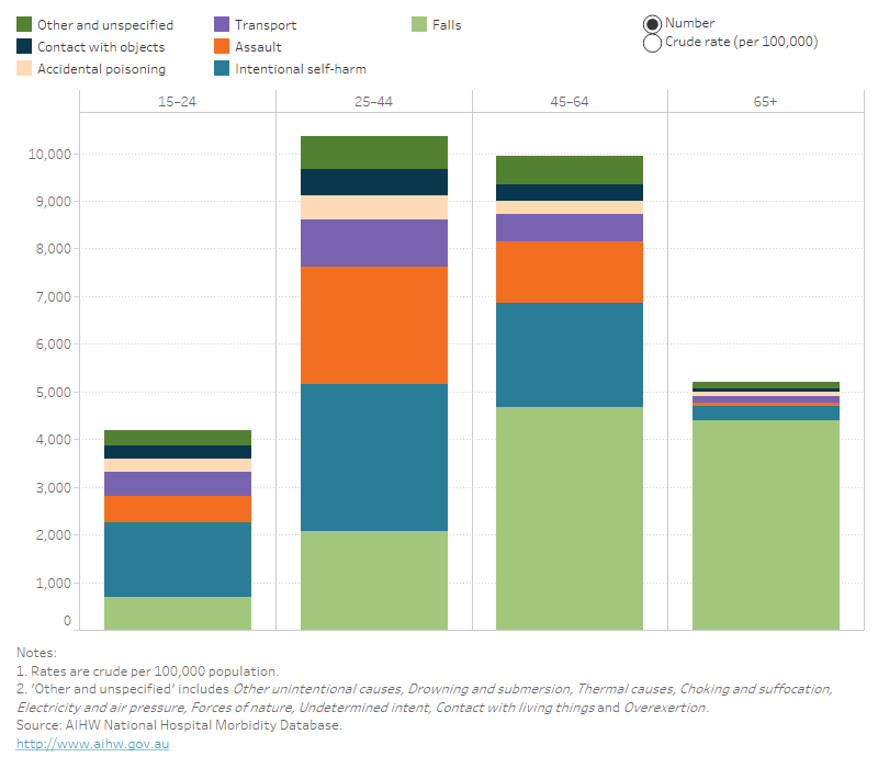 Alcohol-related injury: hospitalisations and deaths, 2019–20, What are ...