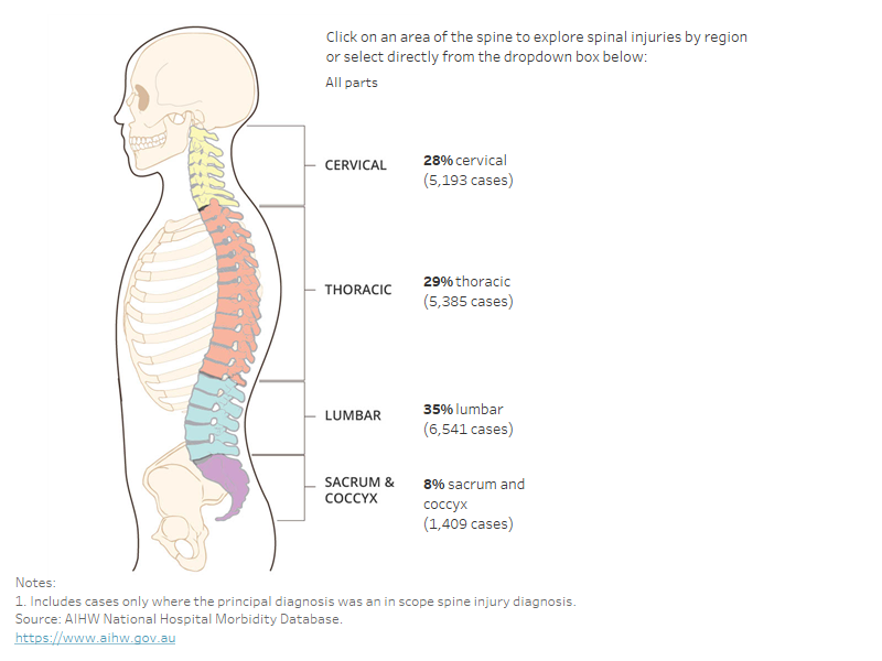 Spinal injuries in Australia 2020-21, Part of spine injured ...