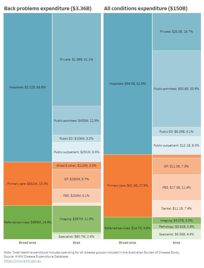 Chronic musculoskeletal conditions : Back problems - Australian ...