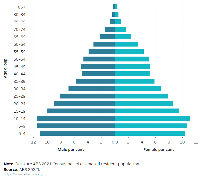 Profile of First Nations people - Australian Institute of Health and ...
