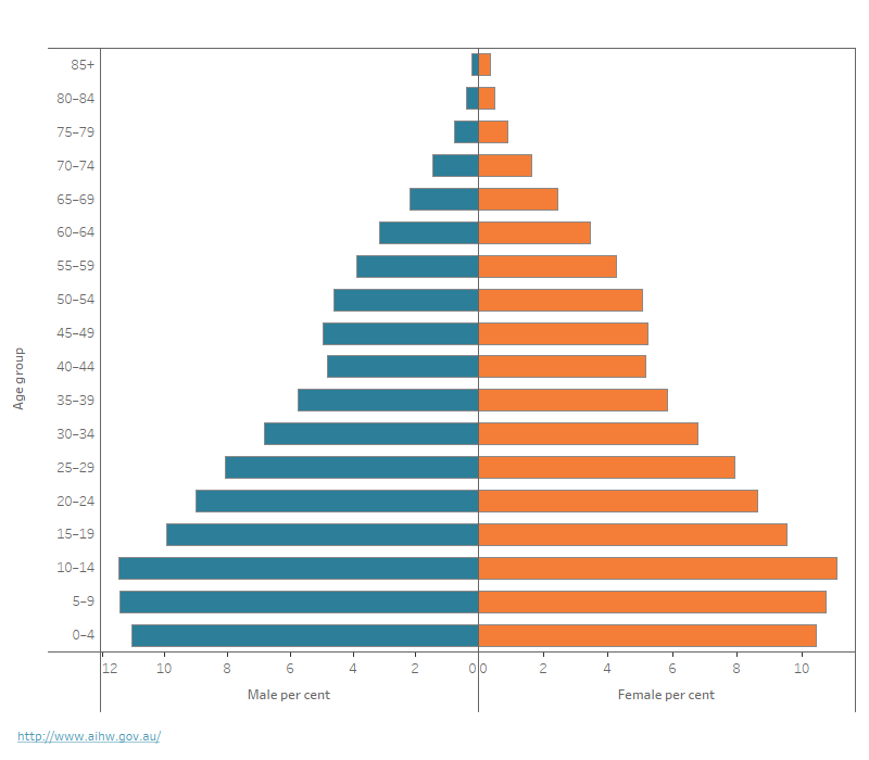 Profile of First Nations people - Australian Institute of Health and ...
